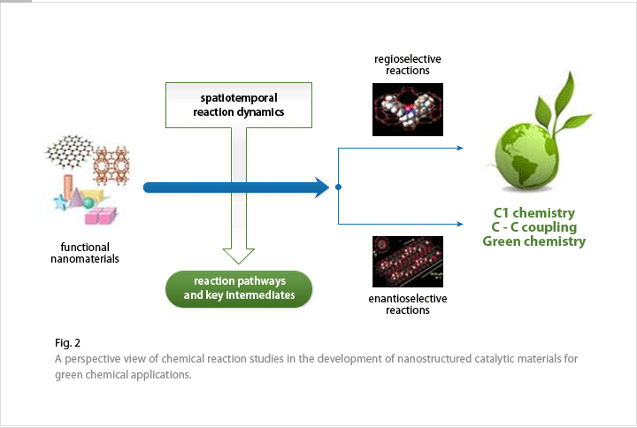 Group 1 > Research Field > Research > ibs
